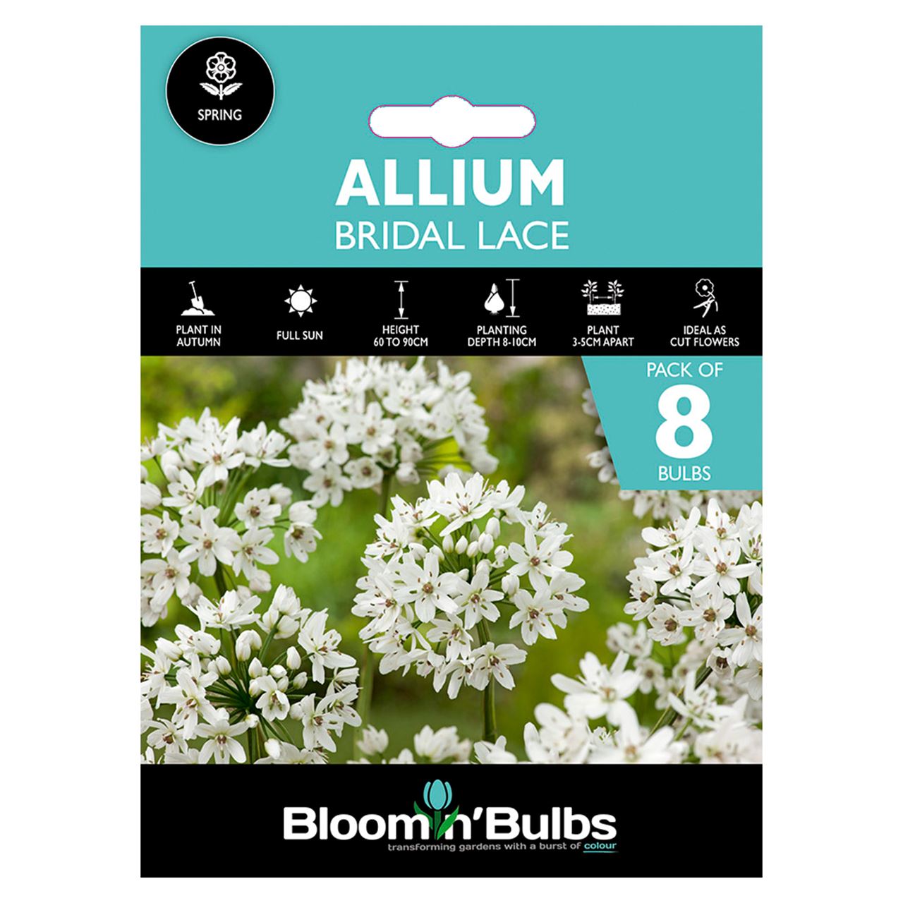 Bloomin Bulbs. ALLIUM BRIDAL LACE 8pk